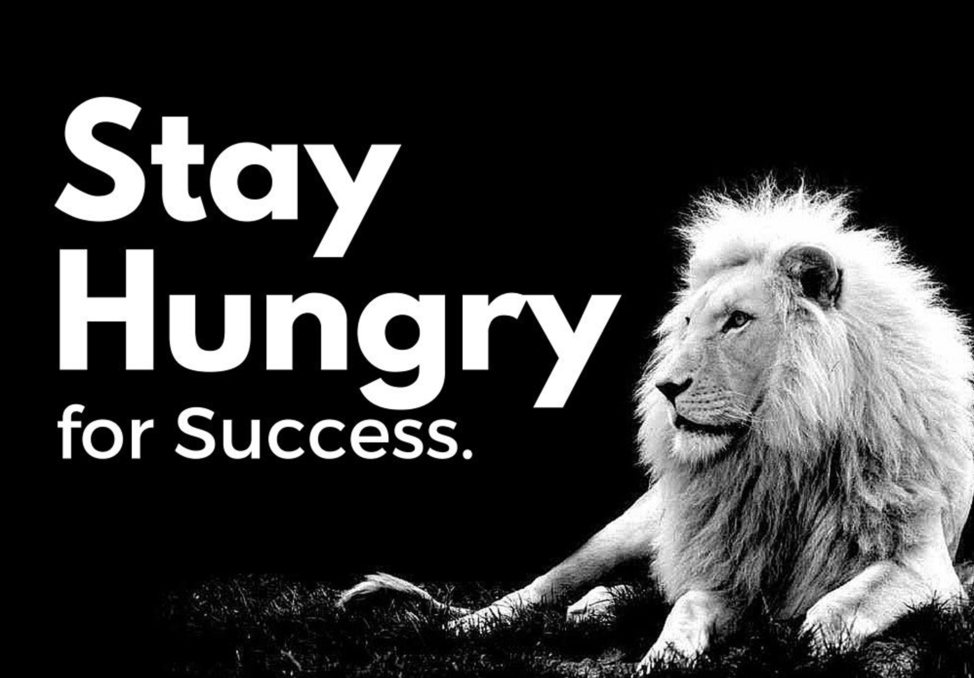 You Must Be Hungry For Success - Fundamental Street